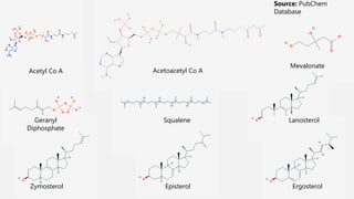 Biosynthesis of ergosterol | PPTX