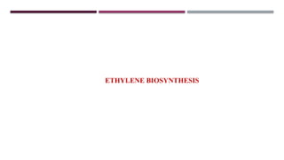 Biosynthesis of ethylene and its regulation .pptx