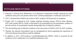 Biosynthesis of ethylene and its regulation .pptx
