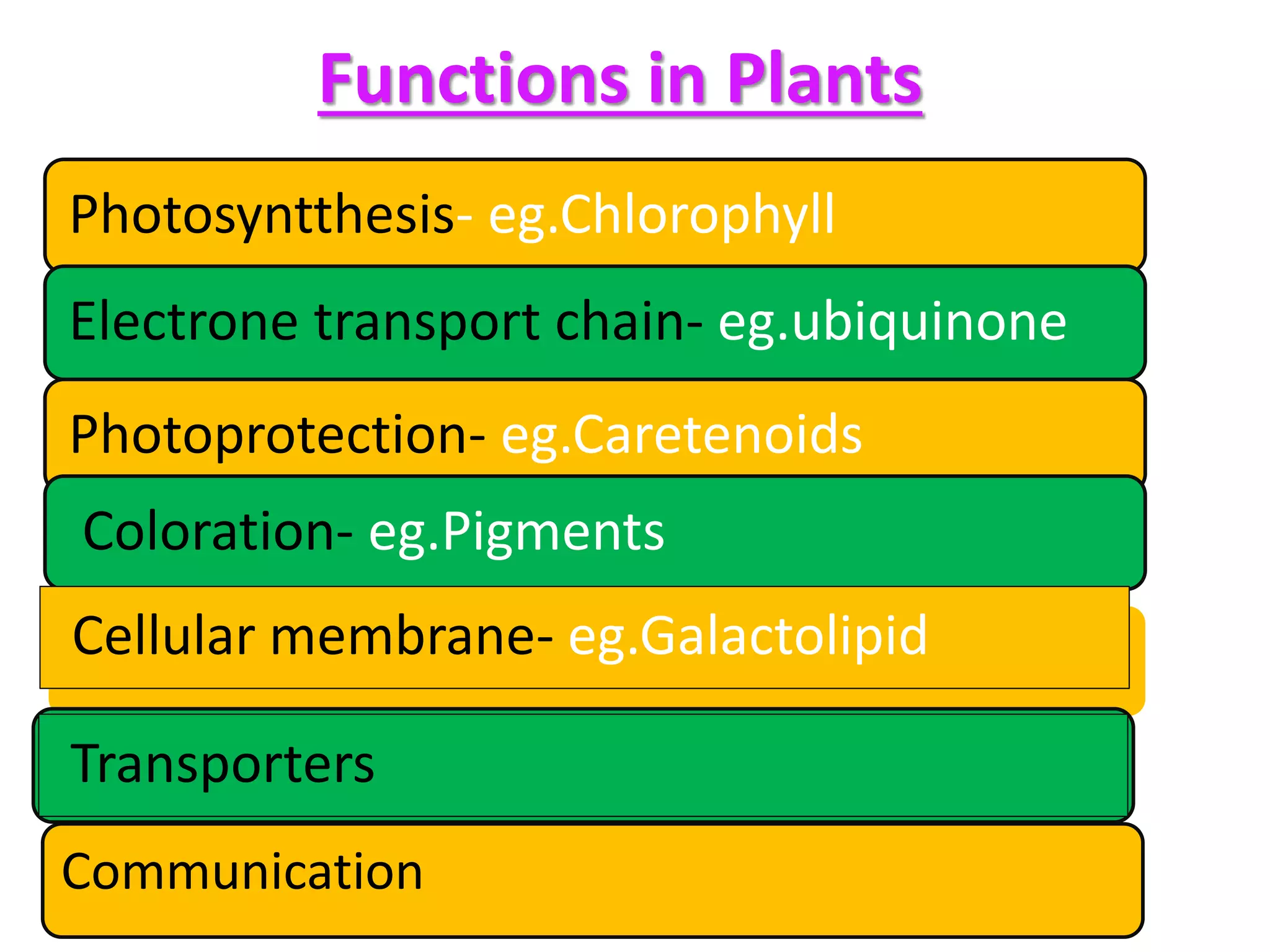 Biosynthesis of fatty acid | PPTX
