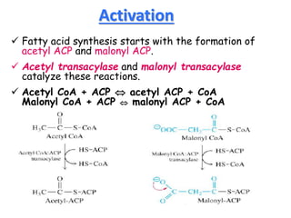 Biosynthesis of fatty acid | PPTX | Chemistry | Science