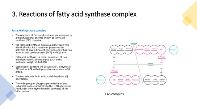 Biosynthesis of fatty acid | PPTX