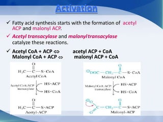 Biosynthesis of fatty acid and its oxidation | PPT
