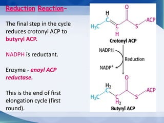 Biosynthesis of fatty acid and its oxidation | PPT
