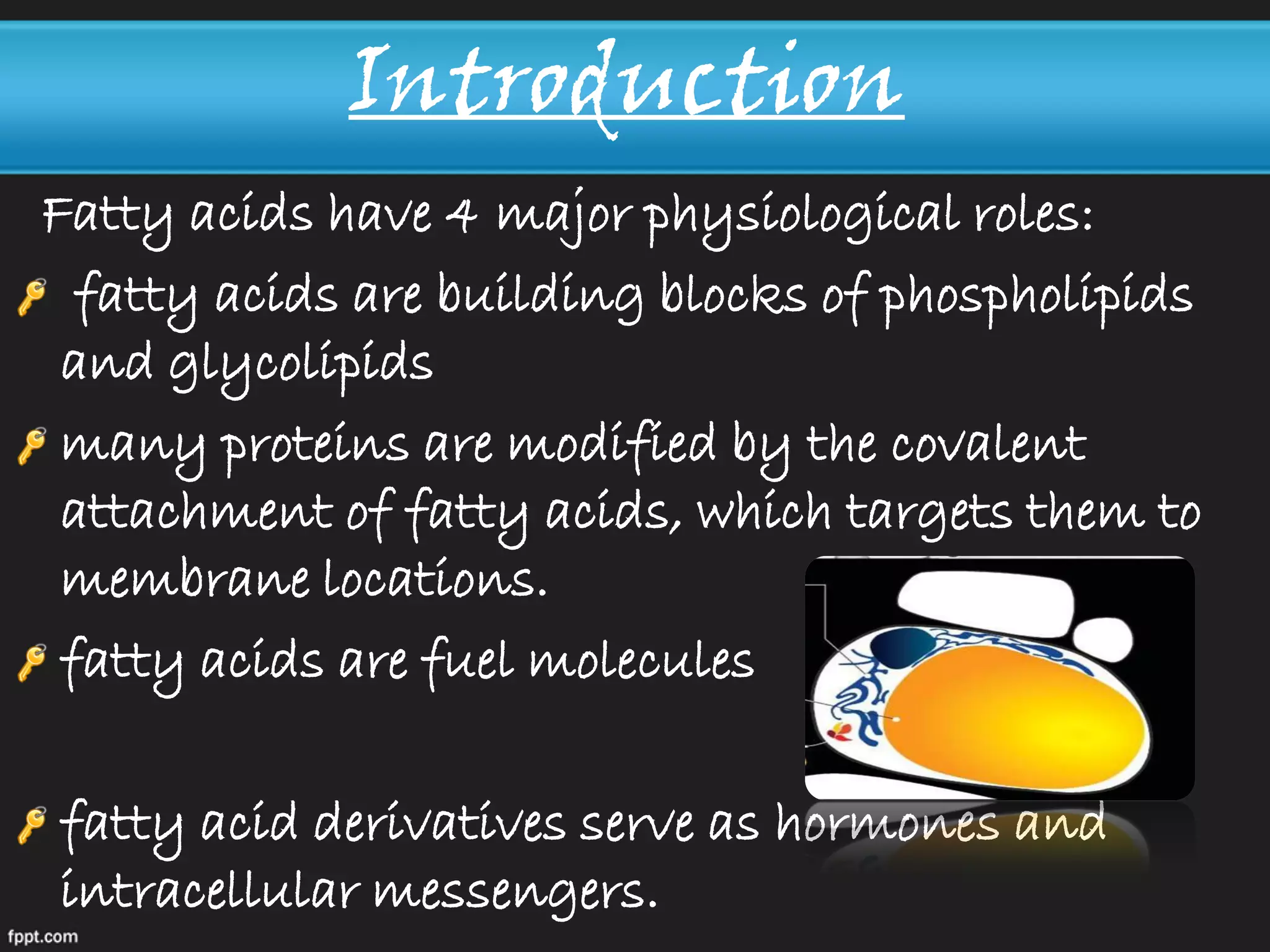 Biosynthesis of fatty acids | PDF