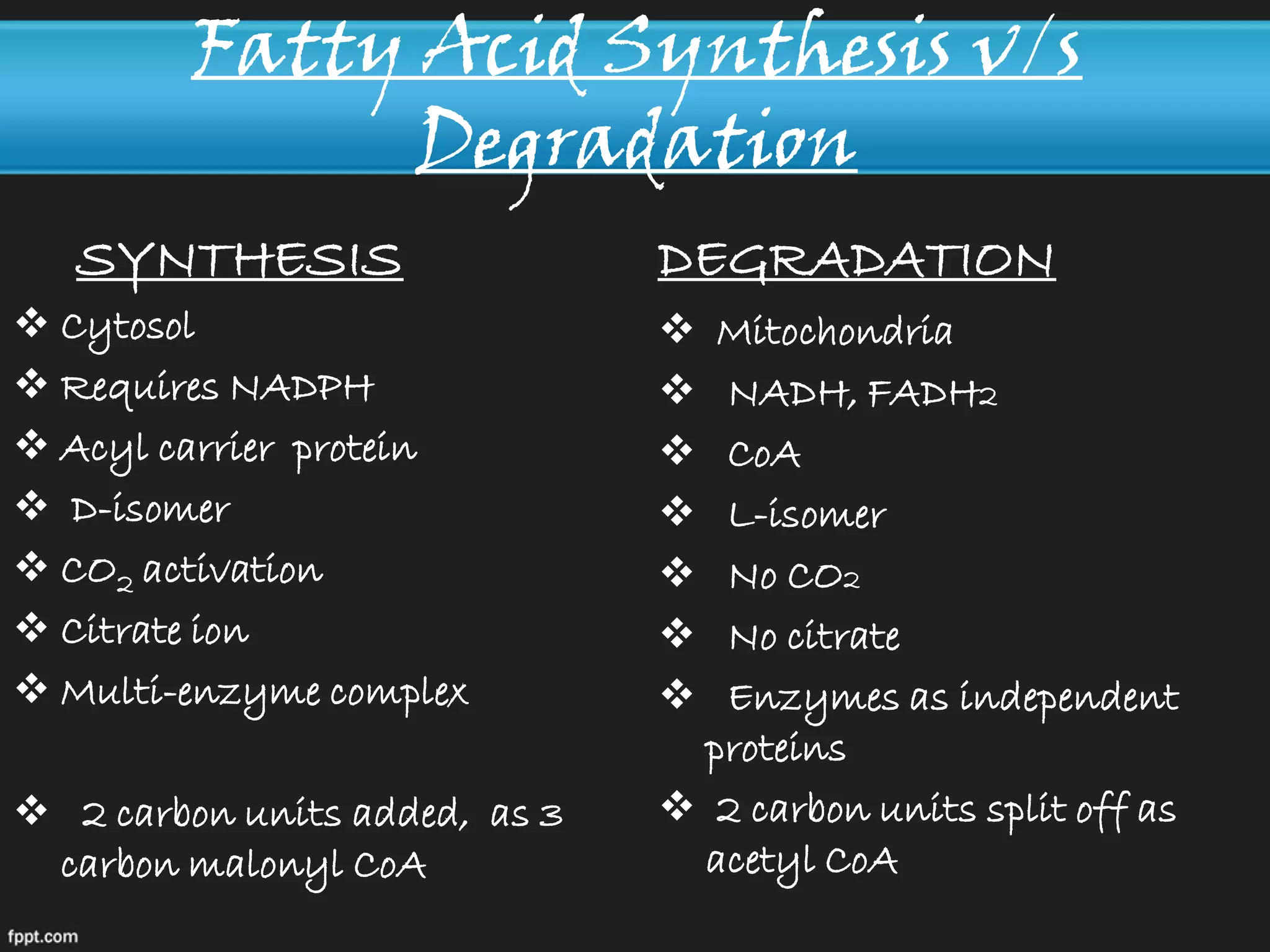 Biosynthesis of fatty acids | PDF