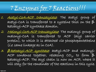 Biosynthesis of fatty acids | PDF