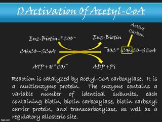 Biosynthesis of fatty acids | PDF