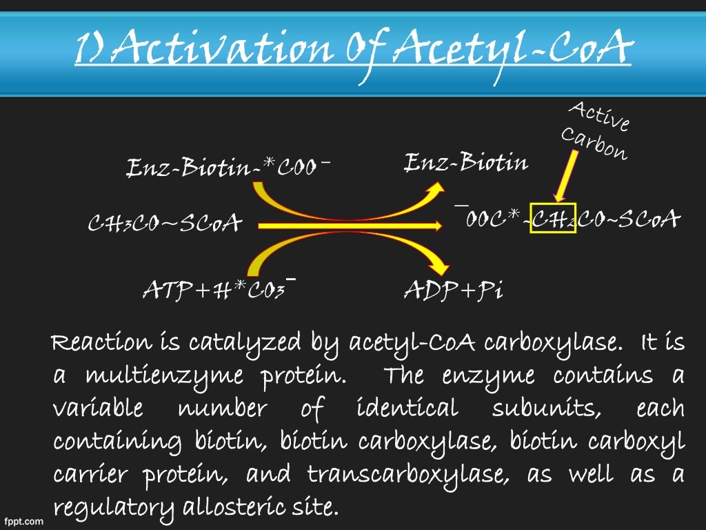 Biosynthesis Of Fatty Acids