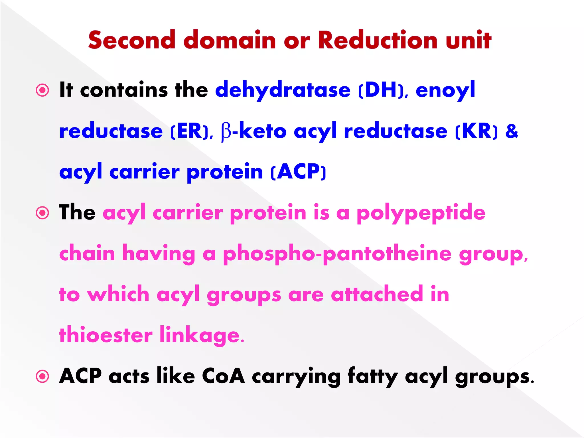 biosynthesis of fatty acids.pptx