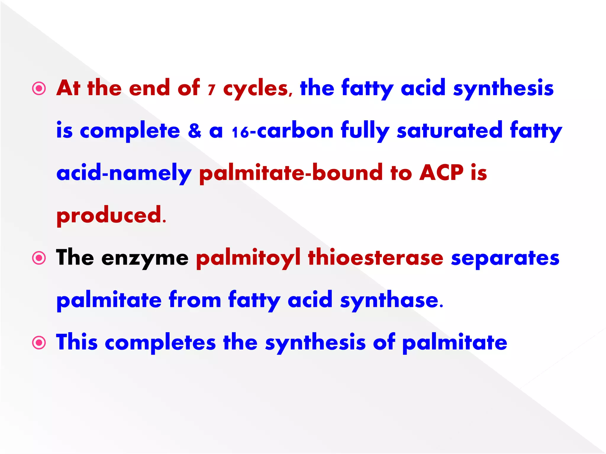 biosynthesis of fatty acids.pptx