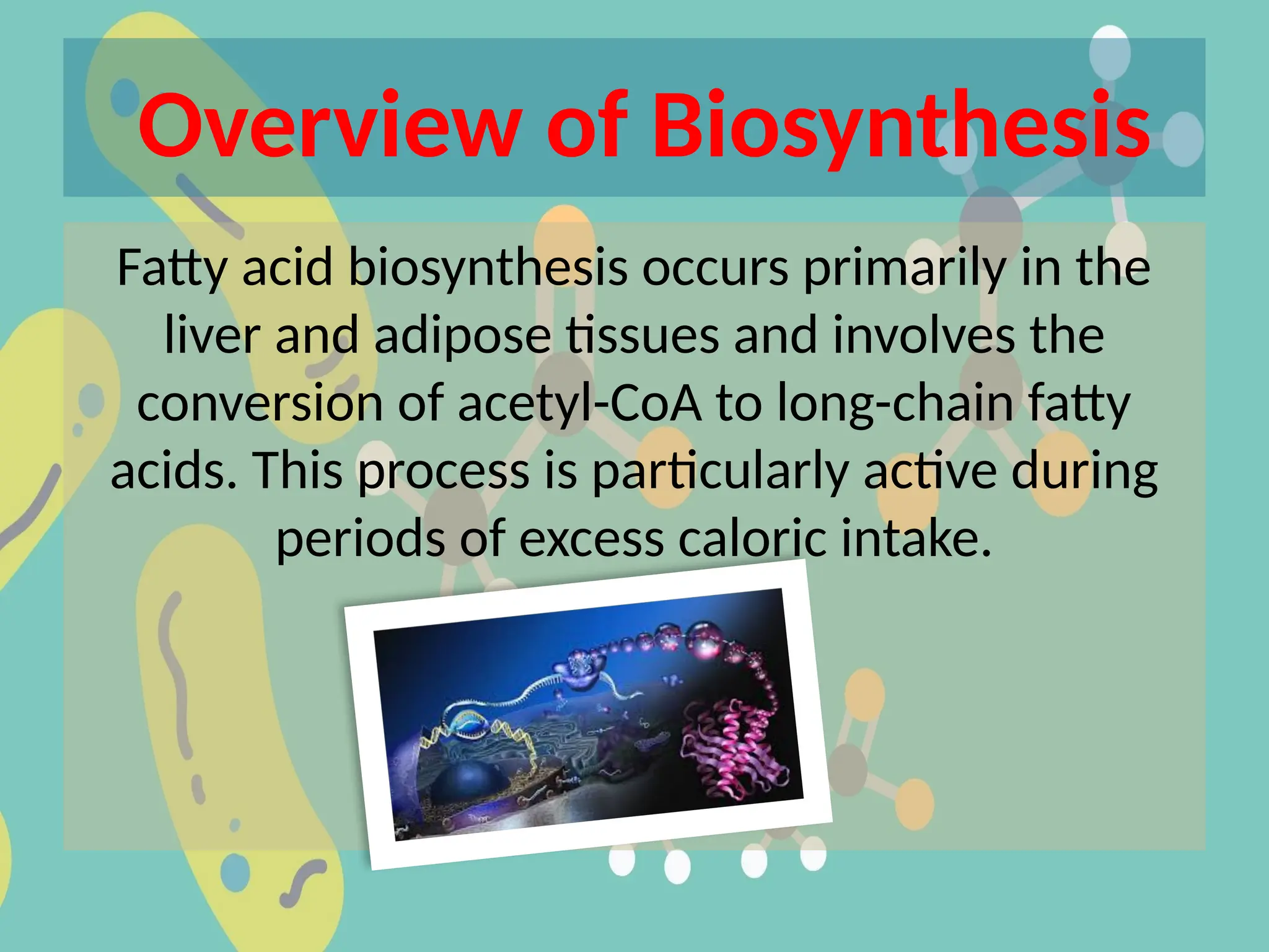 "Biosynthesis of Fatty Acids: Pathways and Mechanisms" | PPTX