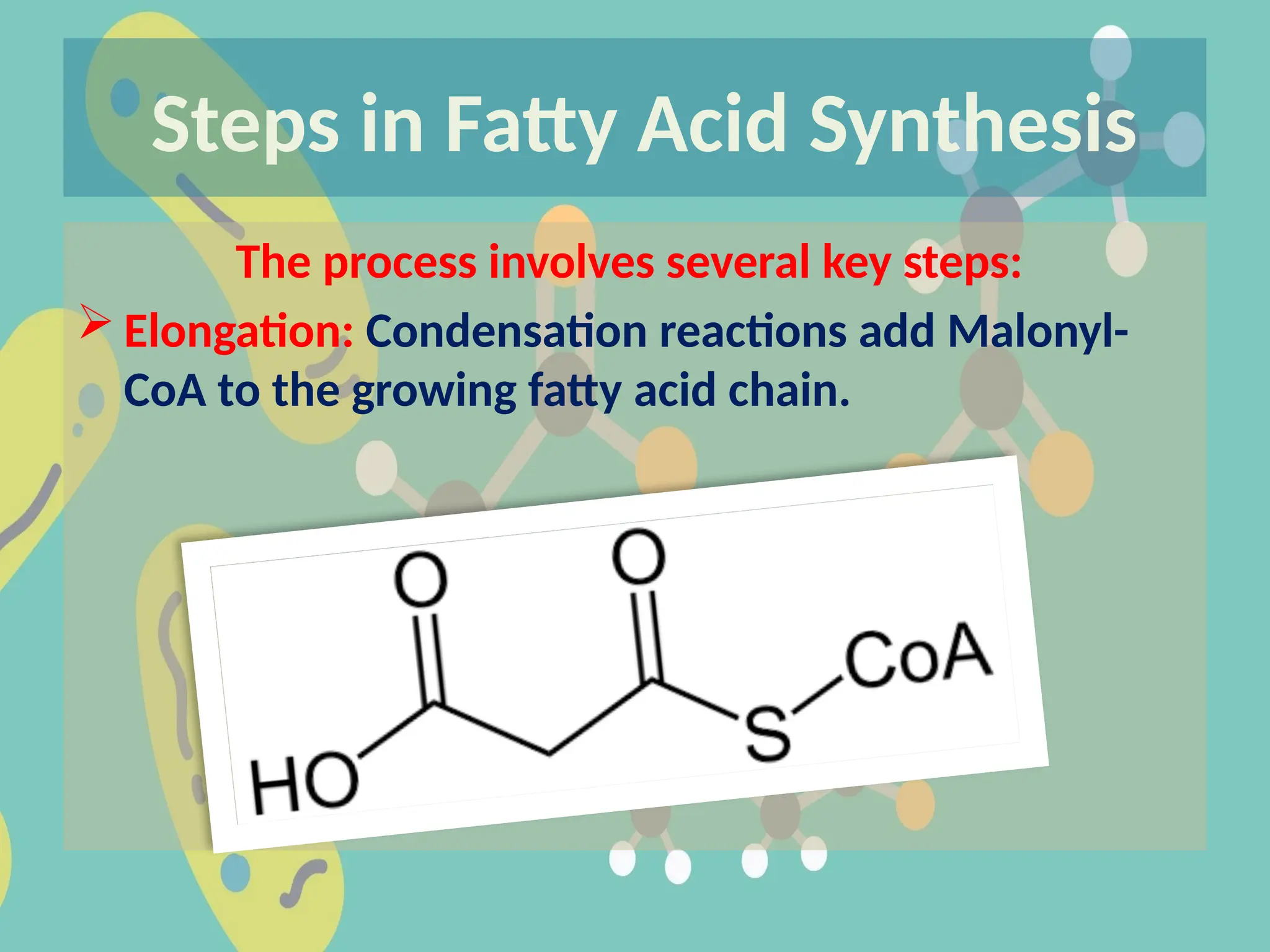 "Biosynthesis of Fatty Acids: Pathways and Mechanisms" | PPTX
