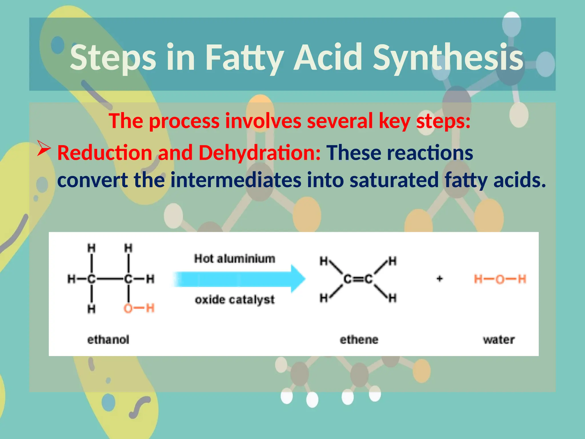 "Biosynthesis of Fatty Acids: Pathways and Mechanisms" | PPTX