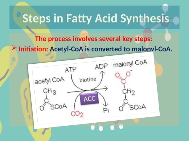 "Biosynthesis of Fatty Acids: Pathways and Mechanisms" | PPTX