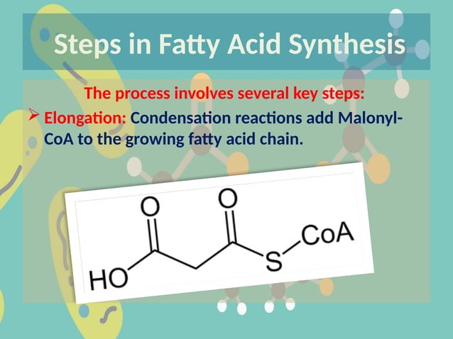 "Biosynthesis of Fatty Acids: Pathways and Mechanisms" | PPTX