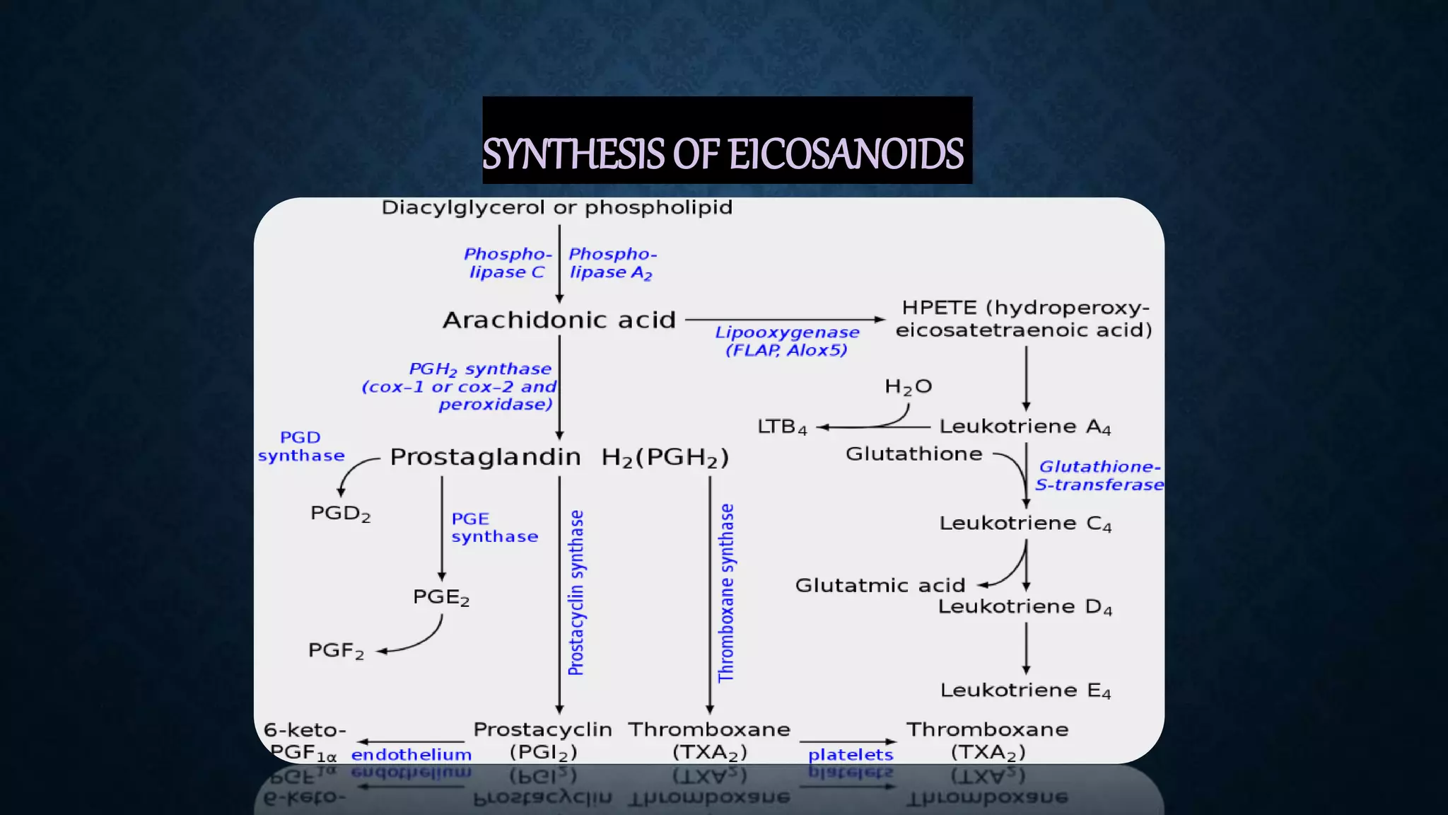 Biosynthesis of fatty acids & eicosanoids | PPTX