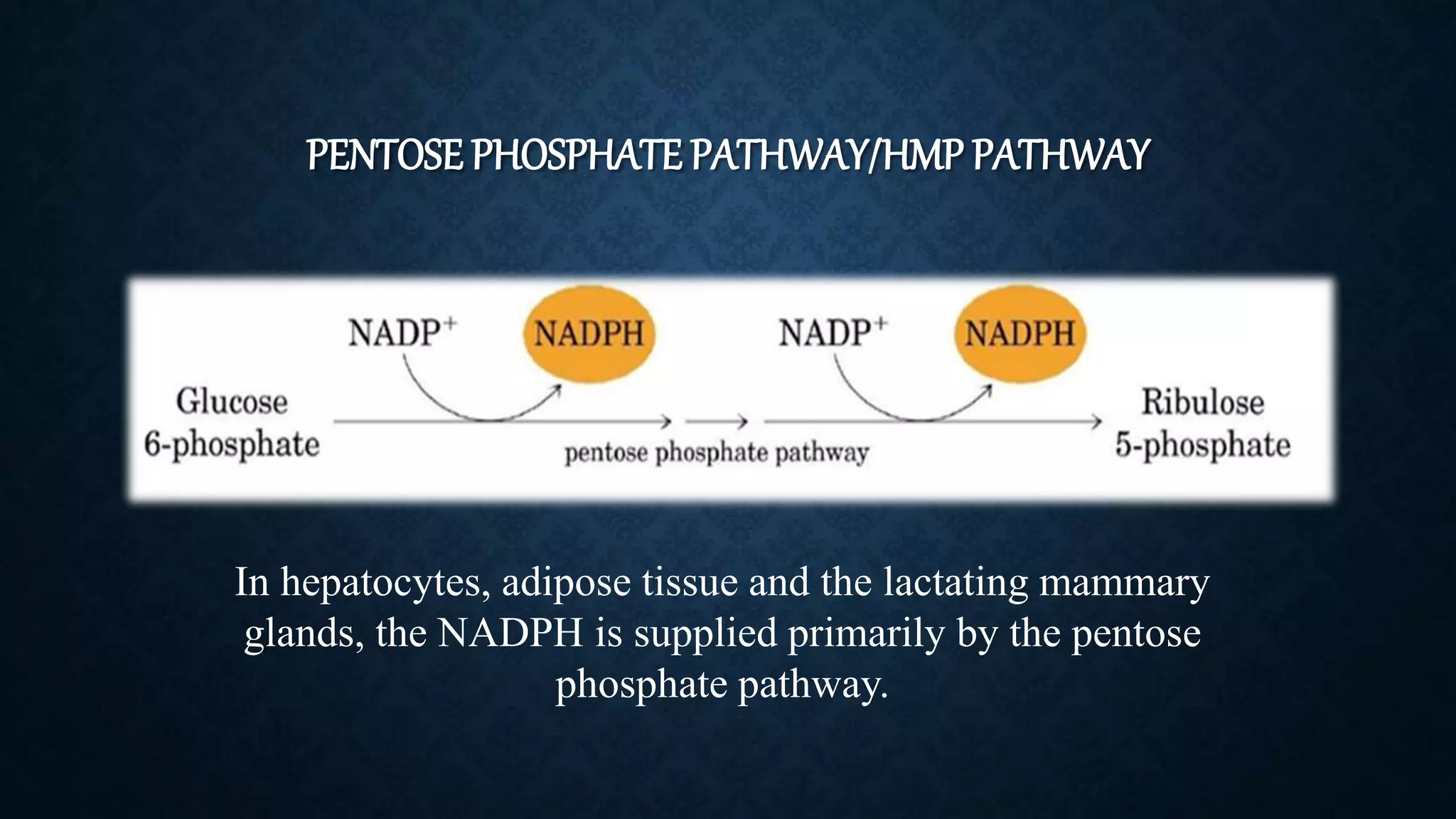Biosynthesis of fatty acids & eicosanoids | PPTX