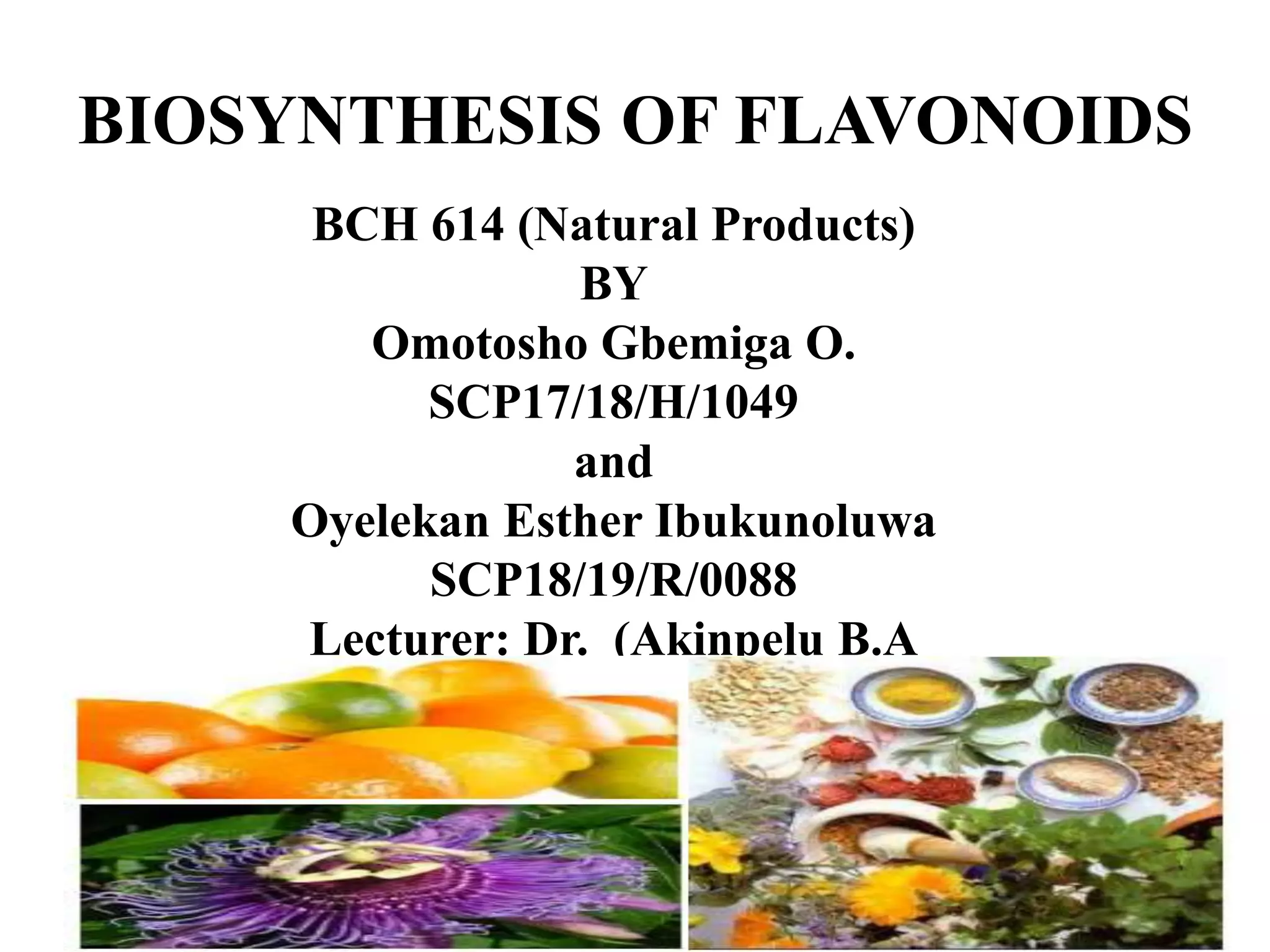Biosynthesis of flavonoids | PPTX