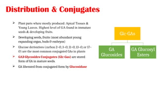 BIOSYNTHESIS OF GA_AYAN PRADHAN_H-2024-001-D.pptx