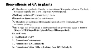 BIOSYNTHESIS OF GA_AYAN PRADHAN_H-2024-001-D.pptx