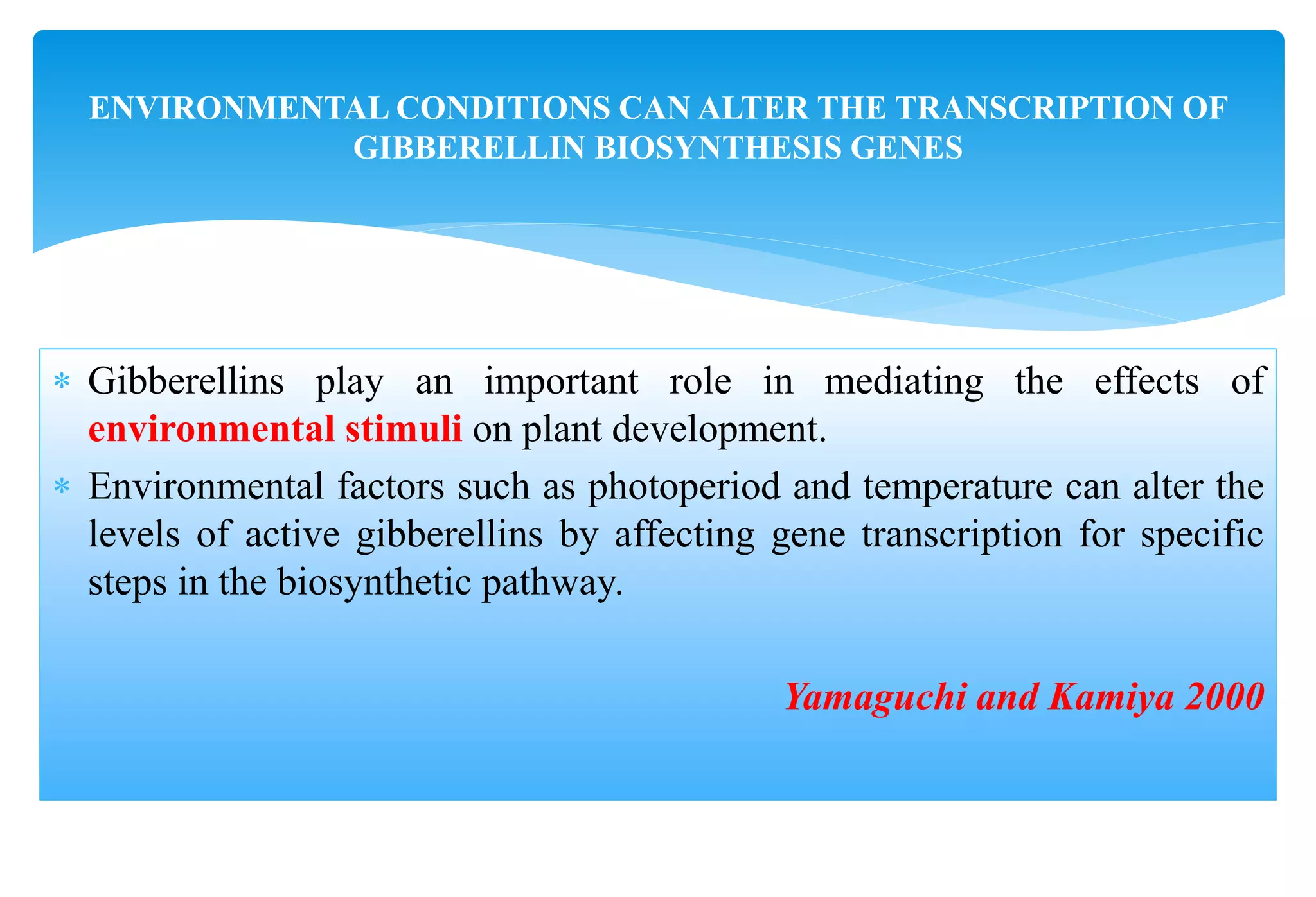 Biosynthesis of gibberellins.pptx