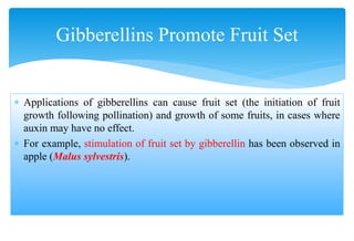 Biosynthesis of gibberellins.pptx