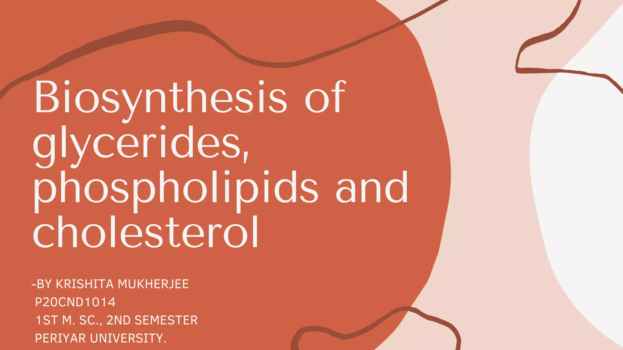Biosynthesis of glycerides, phospholipids and cholesterol | PDF