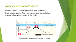Biosynthesis of heme final new ultimatum.pptx