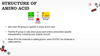 Biosynthesis of histidine | PPTX