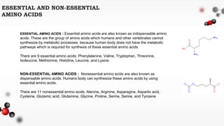 Biosynthesis of histidine | PPTX