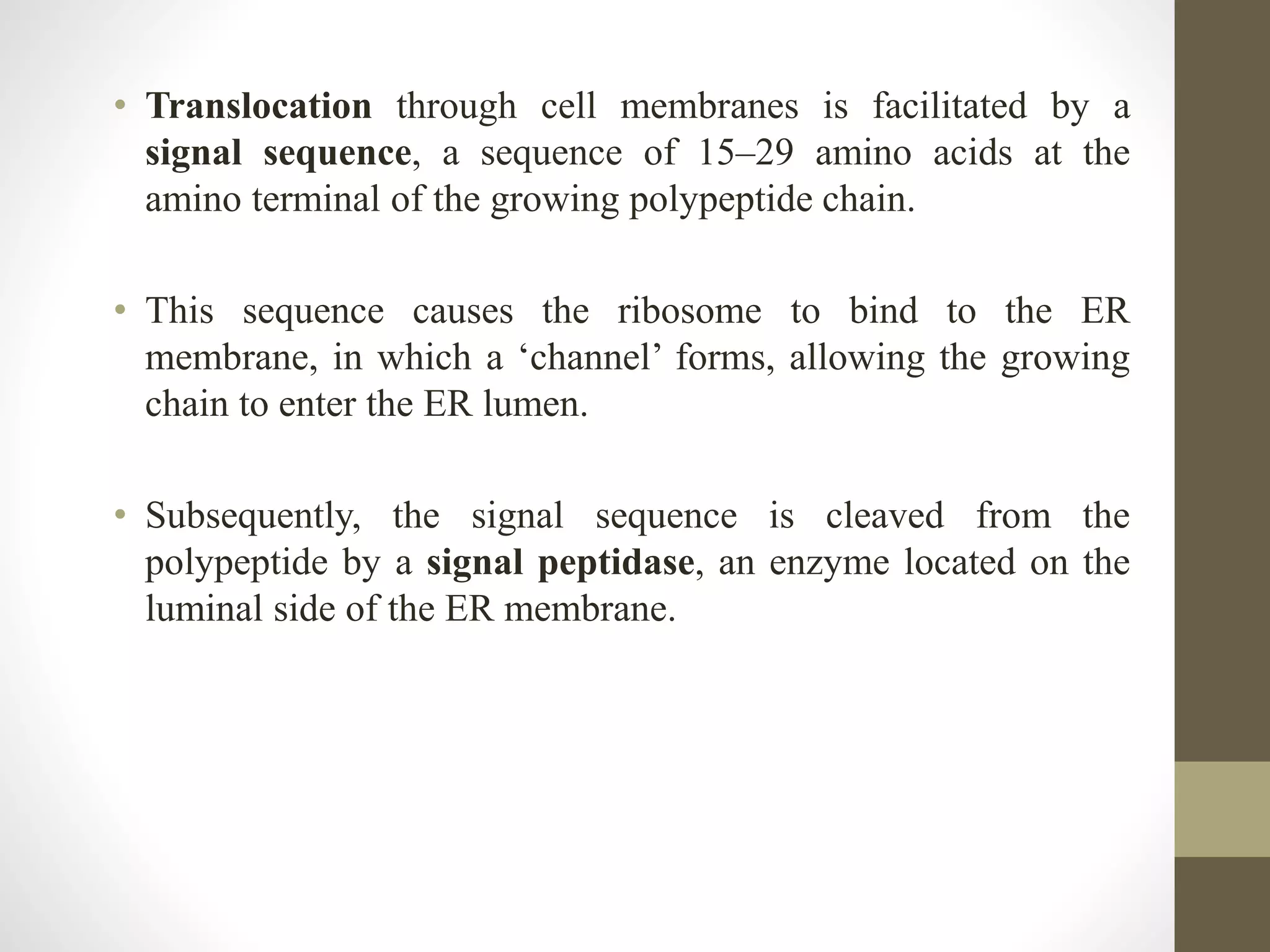 Biosynthesis of milk proteins.pptx