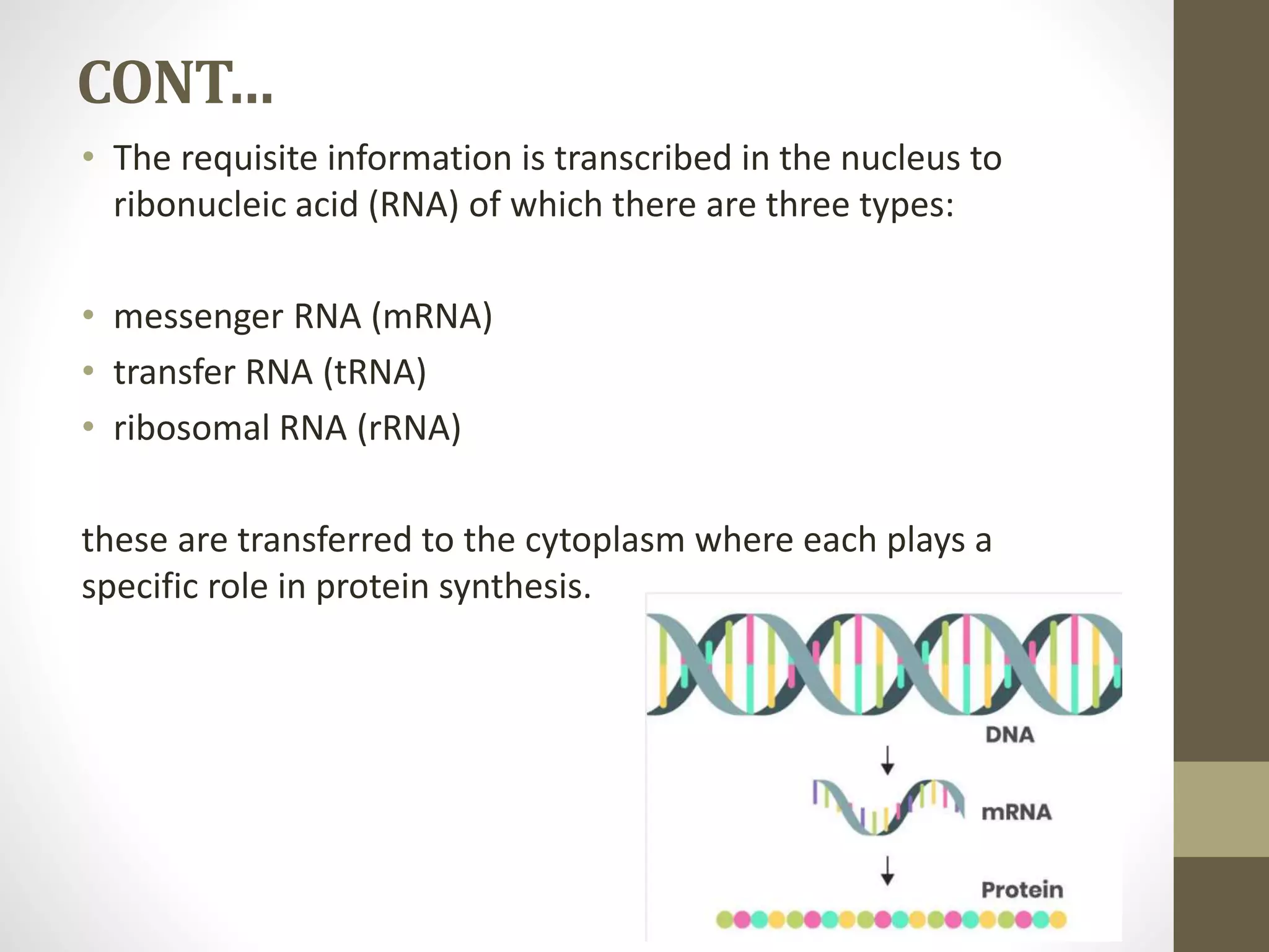 Biosynthesis of milk proteins.pptx
