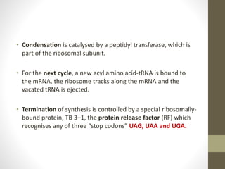 Biosynthesis of milk proteins.pptx
