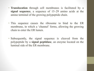 Biosynthesis of milk proteins.pptx