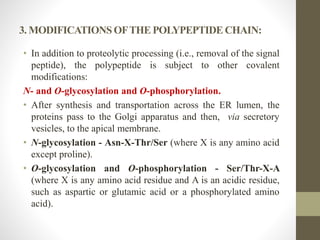 Biosynthesis of milk proteins.pptx
