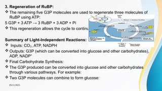 biosynthesis of molecules.pptxghhhhhhhhhhhh | PPTX