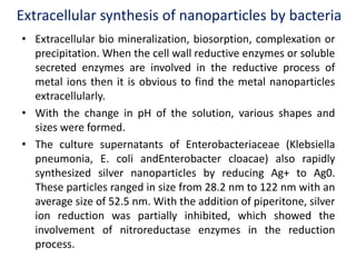Bio synthesis of nano particles using bacteria | PPTX