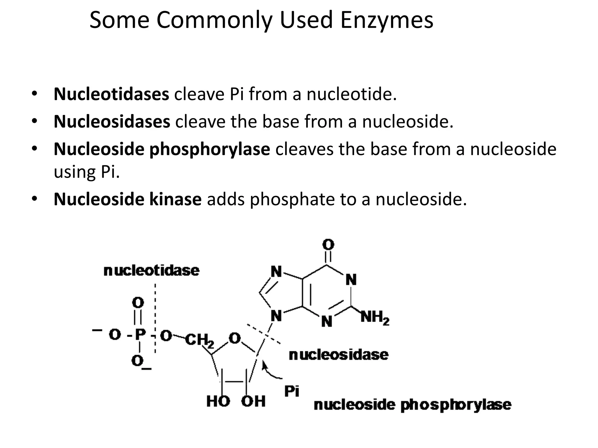 Biosynthesis of nucleotides | PPTX