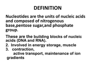 Nucleotide Definition