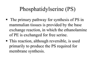 BIOSYNTHESIS OF PHOSPHOLIPIDS-1.pptx