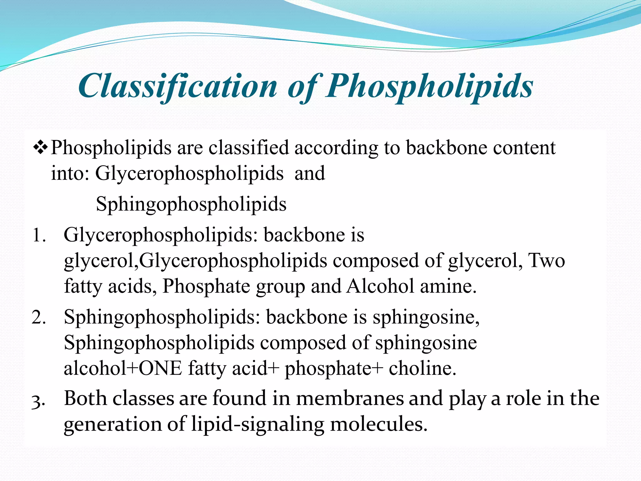 Biosynthesis of phospholipids | PPT