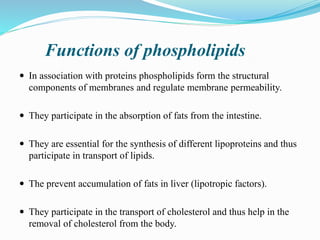Biosynthesis of phospholipids | PPT