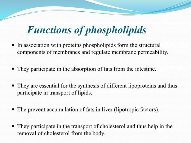 Biosynthesis of phospholipids | PPT | Chemistry | Science