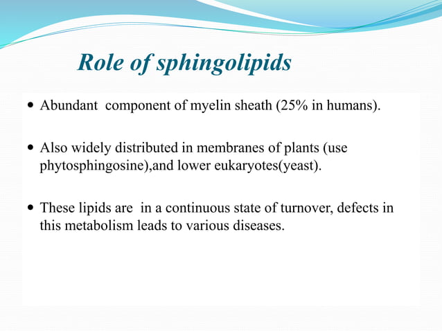 Biosynthesis of phospholipids | PPT | Chemistry | Science