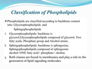 Biosynthesis of phospholipids | PPT