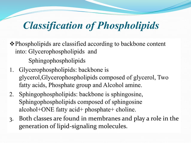 Biosynthesis of phospholipids | PPT | Chemistry | Science
