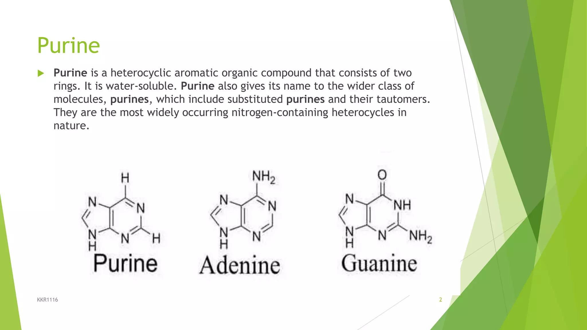 Biosynthesis of purine | PPTX