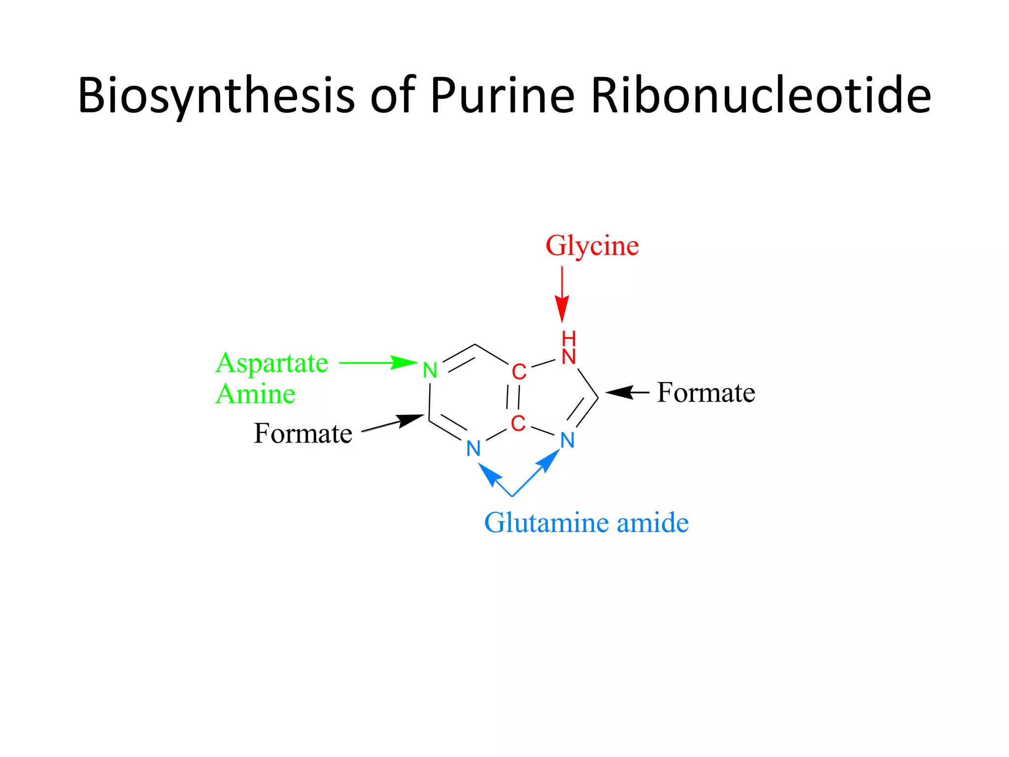 Biosynthesis of purine nucleotide.pptx