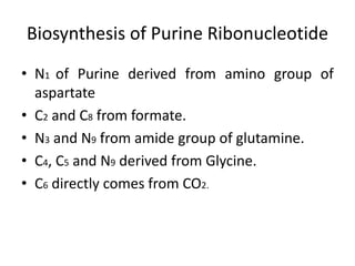 Biosynthesis of purine nucleotide.pptx